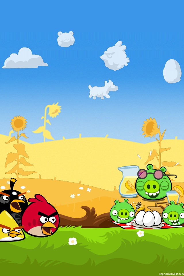 Angry Birds Seasons Summer Pignic iPhone Background | AngryBirdsNest